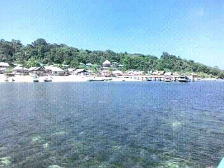 Tanah Milik Pemkot Tual di Desa Tayando Yamtel Seluas 10 Hektare Media ...